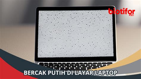 Bercak Putih Di Layar Laptop Penyebab Solusi Dan Pencegahan Biotifor