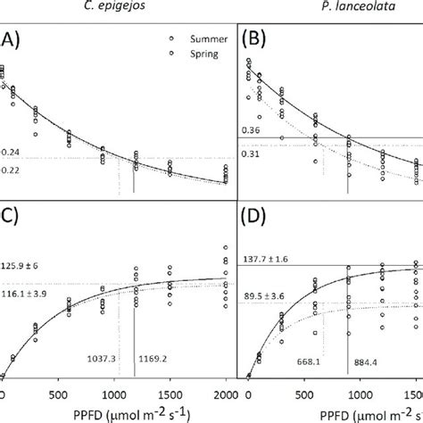 Photosynthetic Light Response Curves A Effective Quantum Yield Of