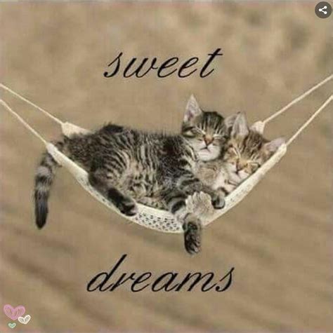 Good Night Memes Funny Goodnight Memes For Him And Her Artofit
