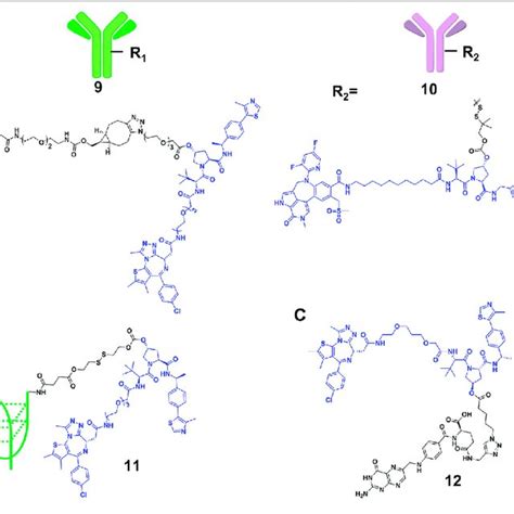 A Structure Of Antibody Protac Conjugates B Structure Of