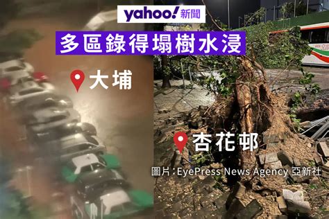 颱風蘇拉颶風下多區錄塌樹水浸 粉嶺有大樹撃中私家車 雅蘭中心外有棚架倒塌