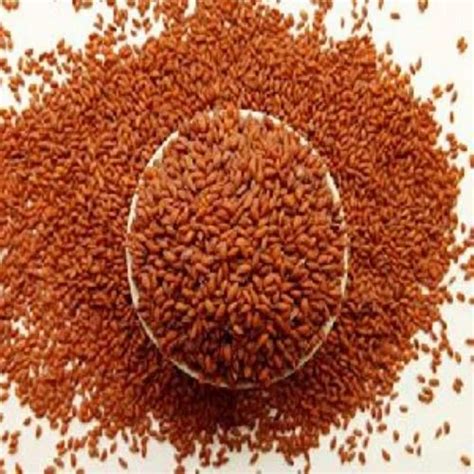 Garden Cress Seeds At Best Price In Mumbai By Jupiter International