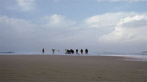 Janus Films Sex Is Comedy