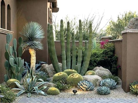 รวม 32 ไอเดีย จัดสวนกระบองเพชร ใช้สวยลงตัวน่ามอง