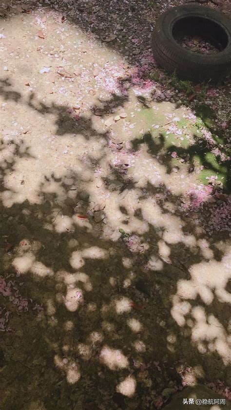 洛杉矶邮政编码（洛杉矶到国内直飞航班） 拼客号