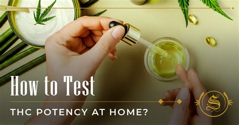 How To Test Thc Potency At Home 3 Easy Methods To Try The Sanctuary