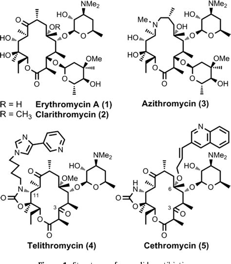 Figure 1 From Synthesis And Structure Activity Relationship Of A Novel Class Of 15 Membered