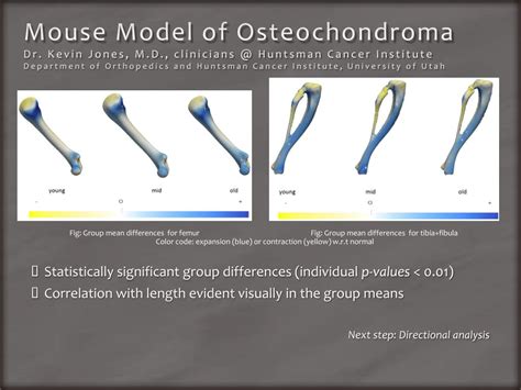 Ppt Statistical Shape Analysis Powerpoint Presentation Free Download Id2670973