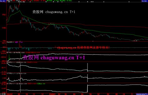 新疆众和 600888 TopView赢富数据汇总 2007 2008所有TopView数据 查股网