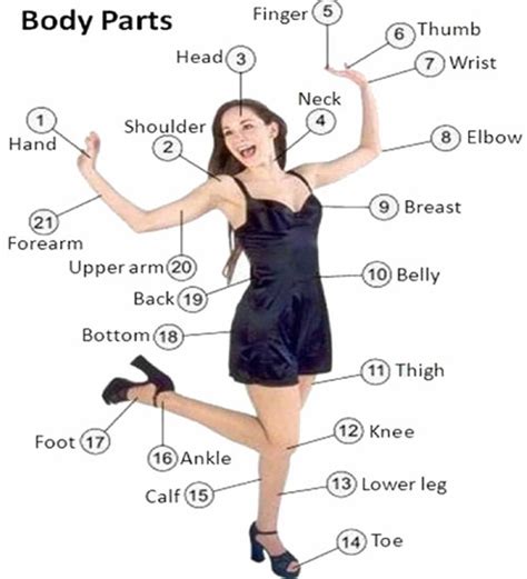 Partes del cuerpo en inglés Ficha resumen