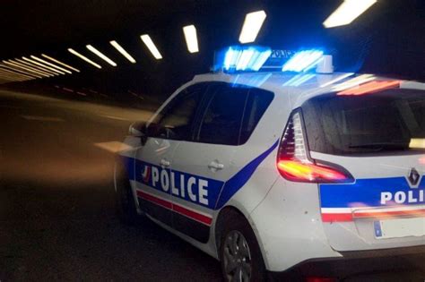 Toulouse Coup De Feu Dans Le Métro Un Policier Mordu Par Un Chien Et Par Son Maître