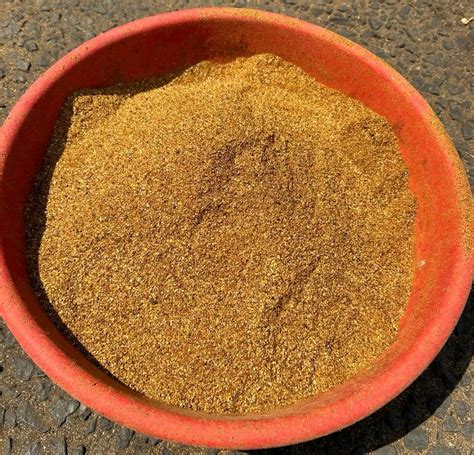 Ddgs At ₹ 16 Kg In Indore Id 2854717684655