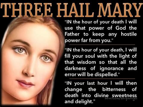Recite Morning And Evening Three Hail Marys In Honor Of The Three Great Privileges Bestowed