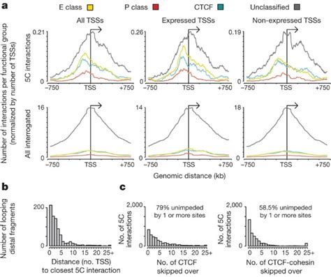 The Long Range Interaction Landscape Of Gene Promoters Nature