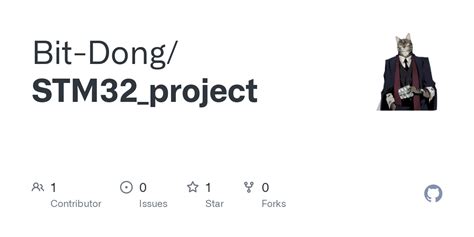GitHub Bit Dong STM32 Project