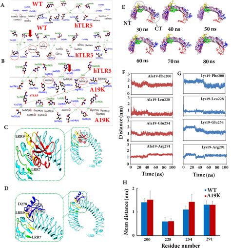Intermolecular Contact Analysis Of Brazzein And Htlr5 Displaying Download Scientific Diagram