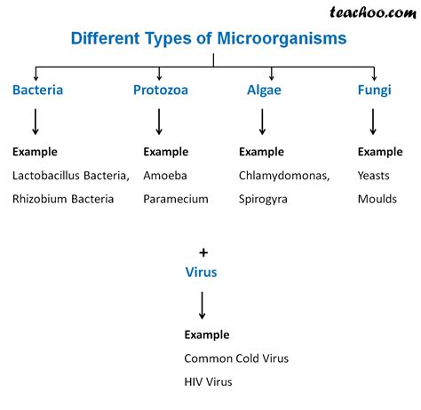 Industrially Important Microorganisms