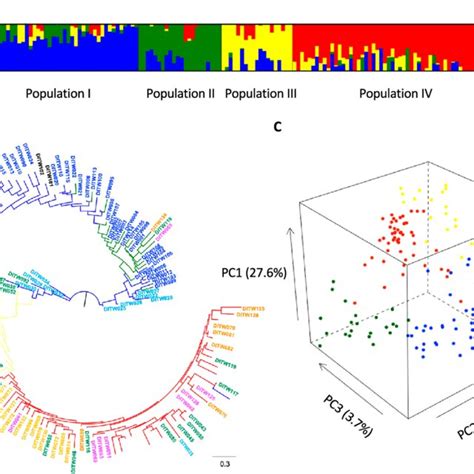 Phylogenetic Tree Principal Component Analysis Pca And Structure