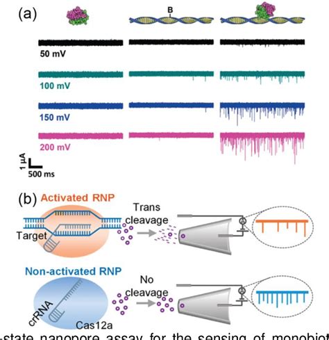 Figure 9 From The Application Of Single Molecule Nanopore Sensing For