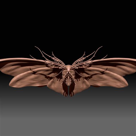 💍 Gnoster Wisdom Of Night Elden Ring Nightreign・ Stl File For 3d Printing・cults