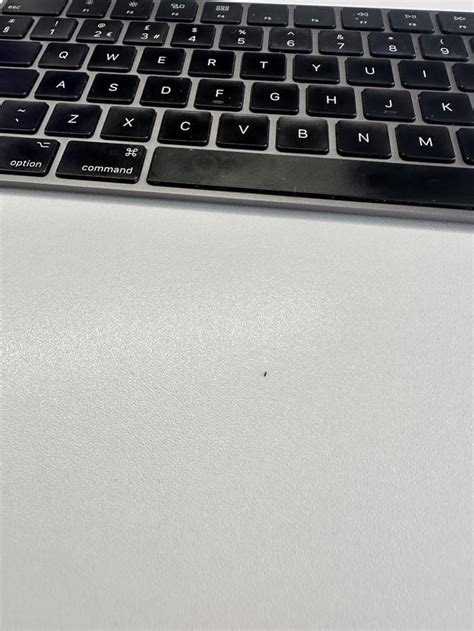 strange bugs on office desk r insects