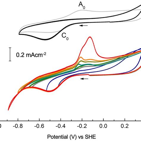 Cyclic Voltammograms V 100 Mvs1 For A 316 Stainless Steel