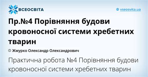 Пр №4 Порівняння будови кровоносної системи хребетних тварин Урок на 1 завдання Біологія