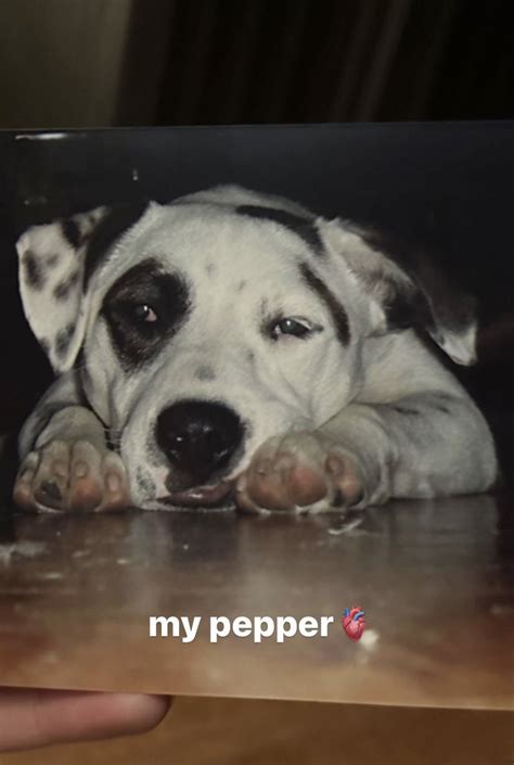Info Billie Brasil On Twitter Billie Eilish Via Instagram Story