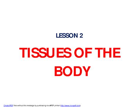 Lesson 2 Tissues Of The Body 1 Lesson 2 Tissues Of The Body Object Ives At T He End Of T His