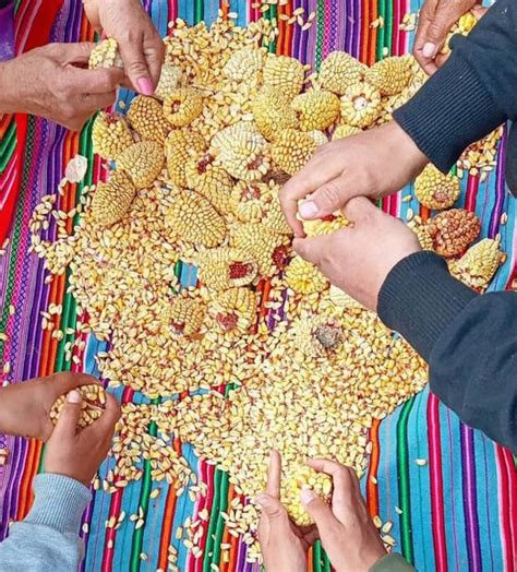 Nixtamal qué es y cómo se hace