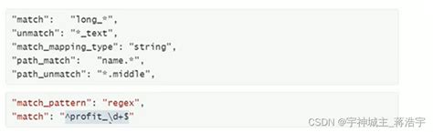 es elasticsearch 九 索引index 定制分词器 type结构后期弃用原因 定制动态映射 动态映射模板 零停机重建索引 es