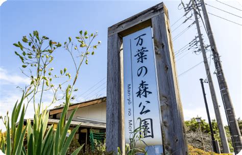 アクセス 万葉の森公園