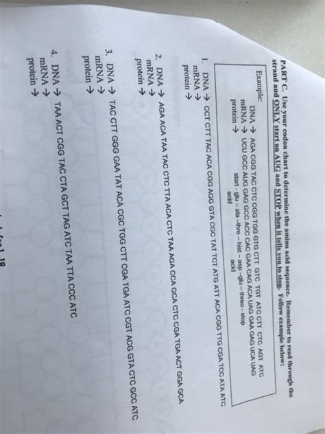 Solved Part C Use Your Codon Chart To Determine The Amino