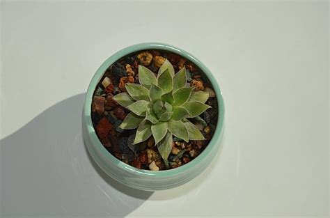 관세음보살 배경 일러스트 관세음보살 사진 및 배경 화면 무료 다운로드 Pngtree