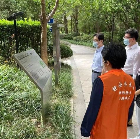 为居民打造舒适宜居的环境TA们开展了实地检查 大宁路街道 绿化 小区