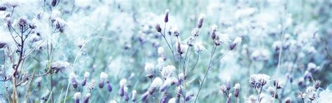 Chartered Psychologist Dr Amy Howarth