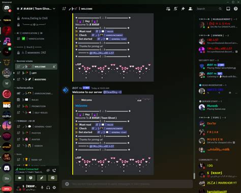 Set Up A Community Gaming Or Streaming Discord Server By Muhammadxali