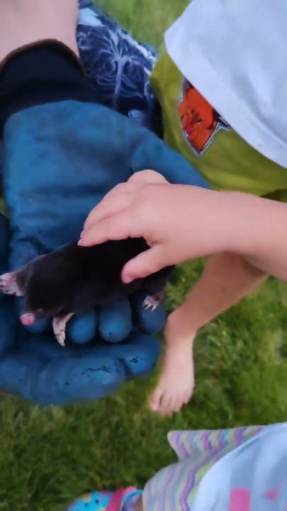 Кротик и все все все ️ Funny Youtube