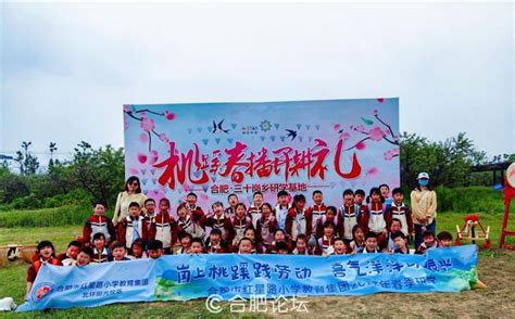 无其伦比网