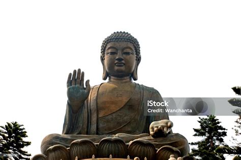 Po 린 수도원 옹 핑 란 타우 섬 홍콩 중국에 Tian Tan Buddha 또는 거 대 한 불상 동상 흰색 배경에 고립 3위에 대한 스톡 사진 및 기타 이미지 Istock