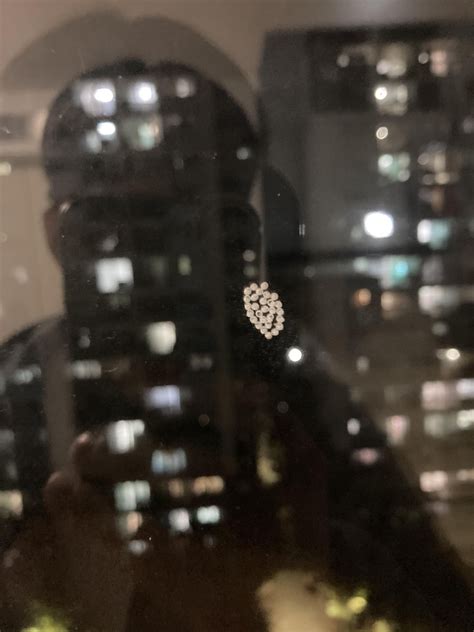 Are These Bedbugs Eggs Rbedbugs