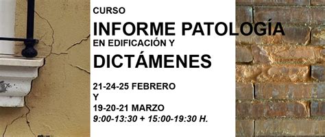 Curso Informe De PatologÍa En La EdificaciÓn Y DictÁmenes