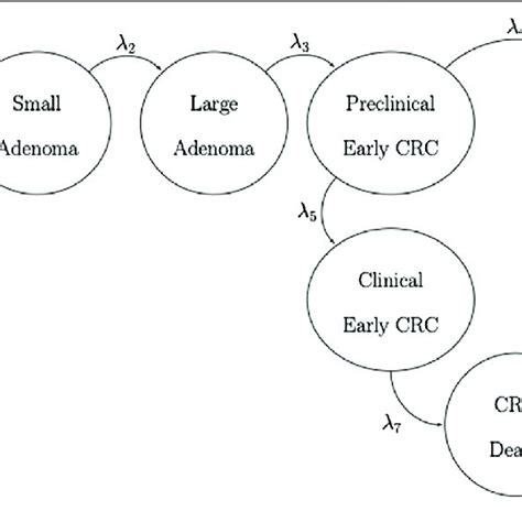 State Transition Diagram Of The Nine State Microsimulation Model Of Download Scientific