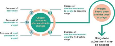 Pharmacokinetics Of Obese Adults Not Only An Increase In Weight
