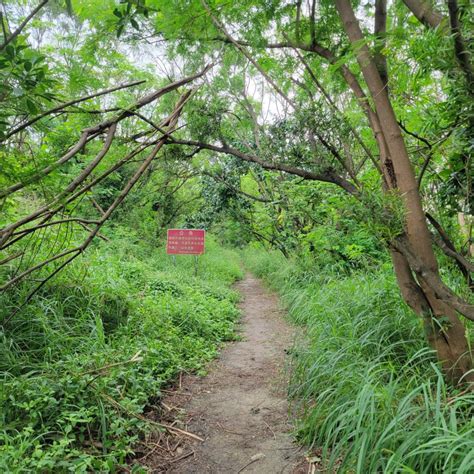 高雄半屏山步道（360°環景） 健行筆記