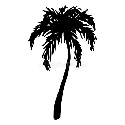 Beach Palm Tree Clip Art Black And White Palm Trees On Beach High Res