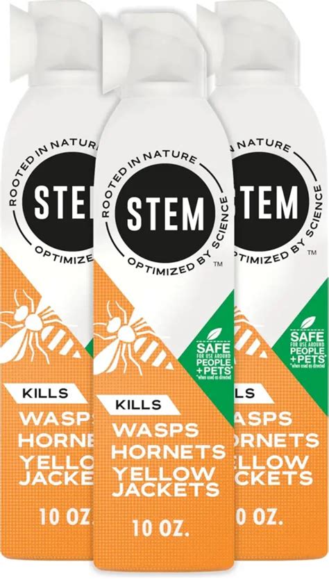 Hornets Nests Everything You Need To Know Outlife Expert