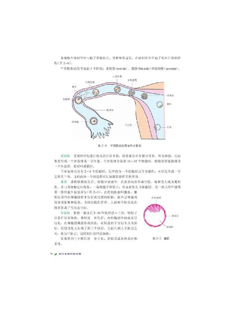 第一节胚胎工程的理论基础7课文北师大高中生物选修三课本书好学电子课本网