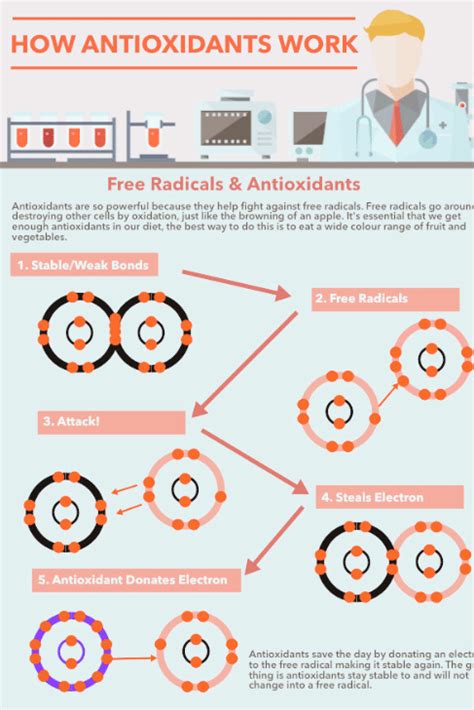 The Role Of Antioxidants In Preventing Chronic Disease