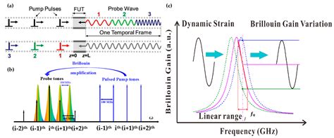 High Spatial Resolution Dynamic Strain Measurement Based On Brillouin Optical Correlation Domain